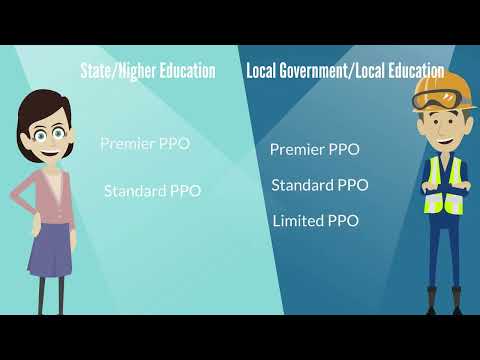 PPO (Preferred Provider Organization