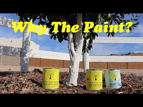 Protecting Tree Trunks With IV Organics Plant Guard | IV Organics Discount Code Below!