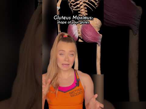 Stop doing “upper” or “lower” glute exercises!