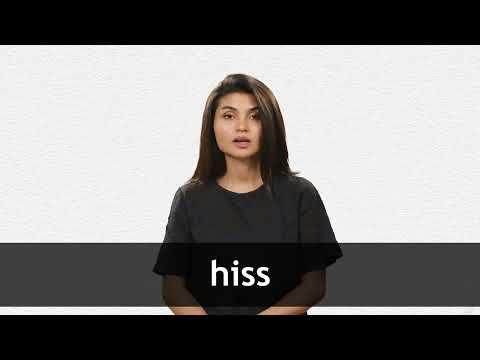 HISS - Definition & Translations | Collins English Dictionary