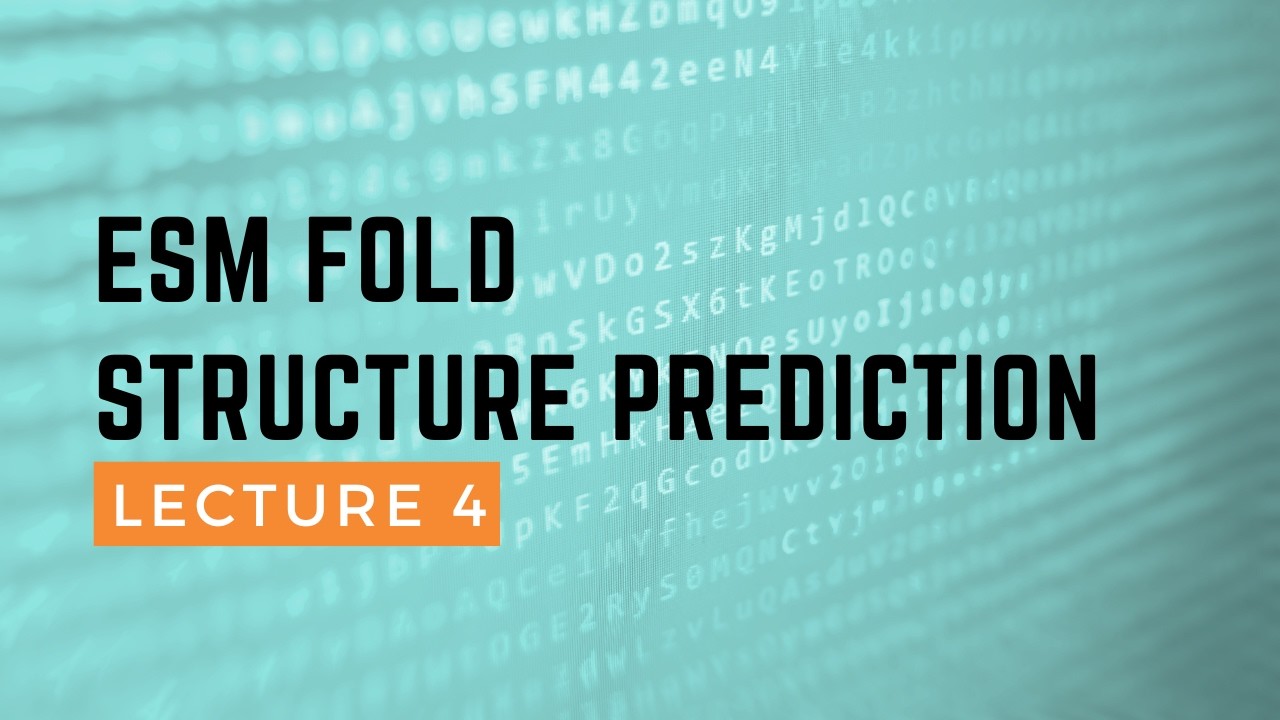 ESM Fold Structure Prediction