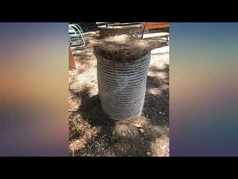 Pine Straw Mulch - Premium, All-Natural - 210 Sqft review