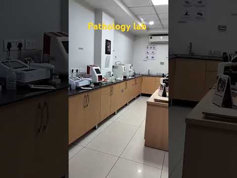 pathology lab #labtechnologist #labechnology #duty #hospital medical