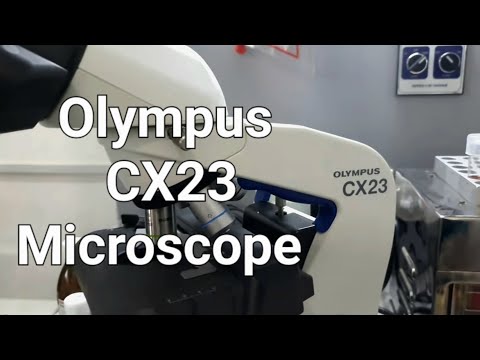 Olympus Laboratory Microscope - Latest Price, Dealers & Retailers in India