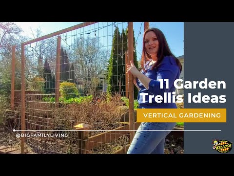 11 Garden Trellis Ideas