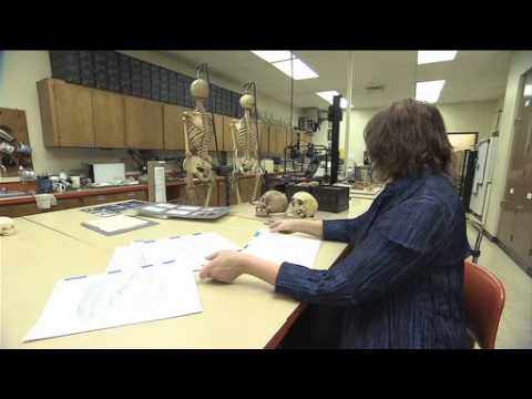 Great Job! Forensic Artist