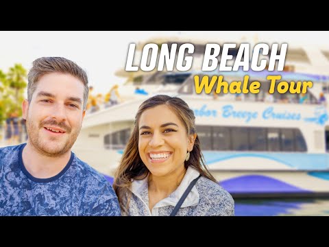 Harbor Breeze Cruises Whale Tour - Long Beach, California