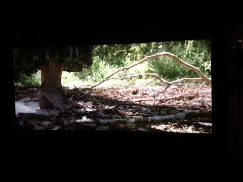 A Quite Place 2 teaser trailer
