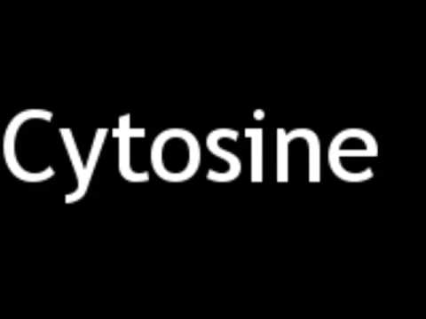 How to Pronounce Cytosine