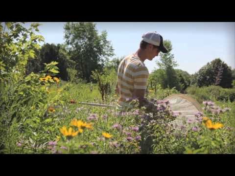 What Is Citizen Science? (Driven to Discover Citizen Science project)