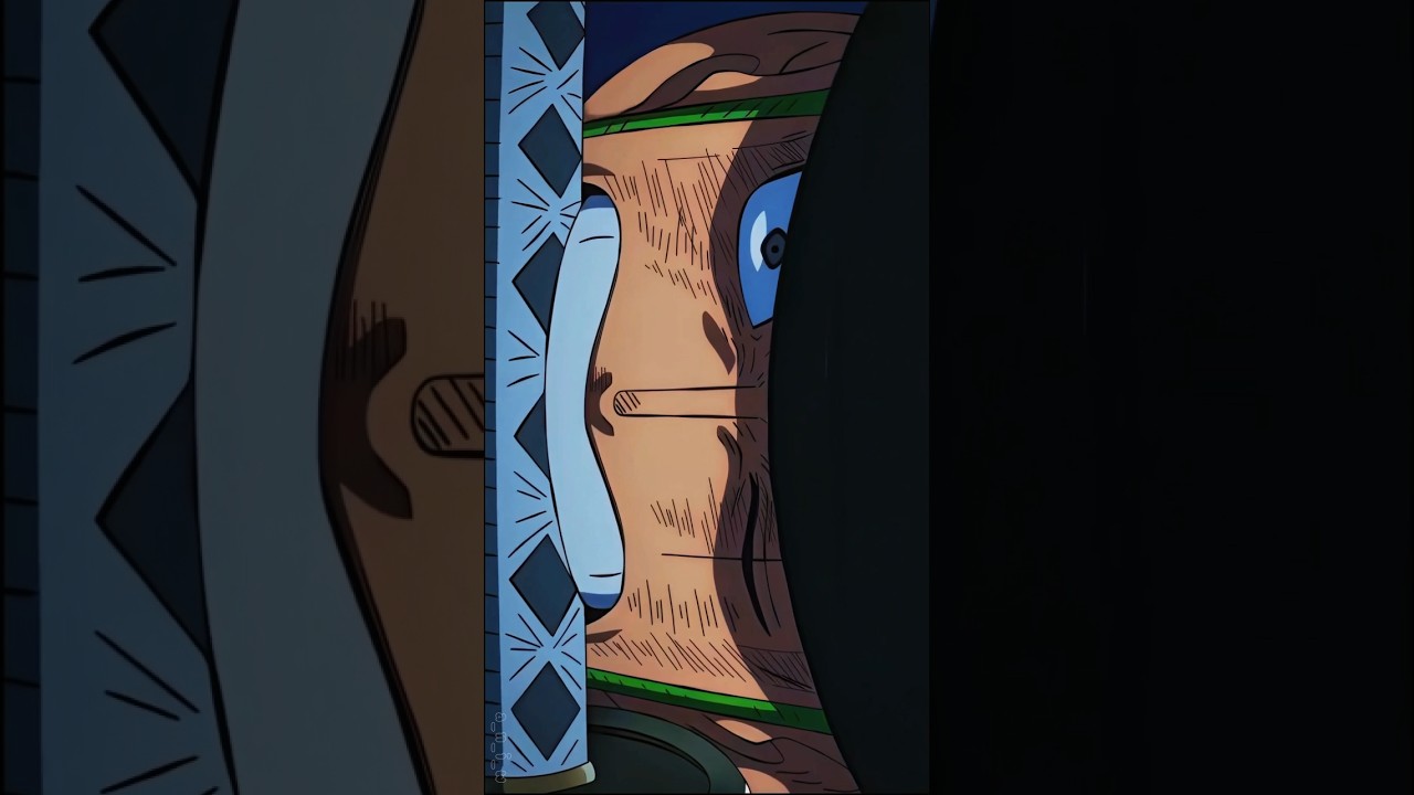 Roronoa Zoro / Pirate Hunter