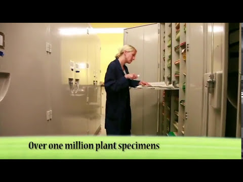 BRIT Herbarium Overview