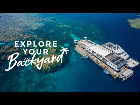 Reef Magic - Explore Your Own Backyard