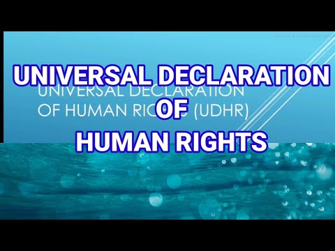 UNIVERSAL DECLARATION OF HUMAN RIGHTS (UDHR) SUMMARY
