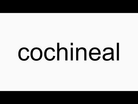How to pronounce cochineal