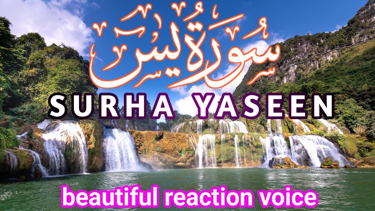 Surah Yaseen Beautiful Recitation Surha Yaseen Qari Abdul Wahab Chang