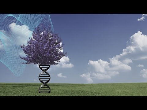(Trailer) Destiny and DNA: Our Pliable Genome