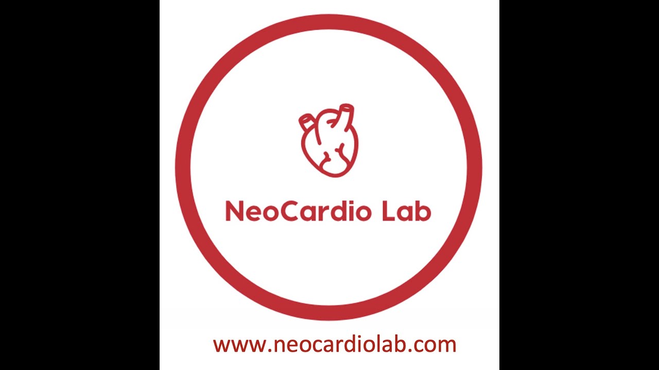 Parasternal Long Axis view - Neonatal Echocardiography
