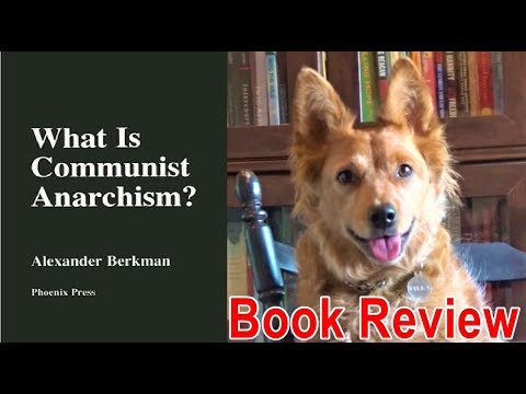 What is Communist Anarchism? Review - Radical Reivewer