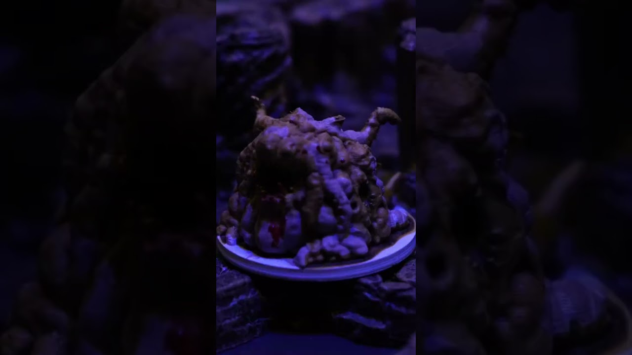 Hideout of Horrors! Watch the full video on the channel 🎲🗡️ #dnd #dwarvenforge #ttrpg #pathfinder