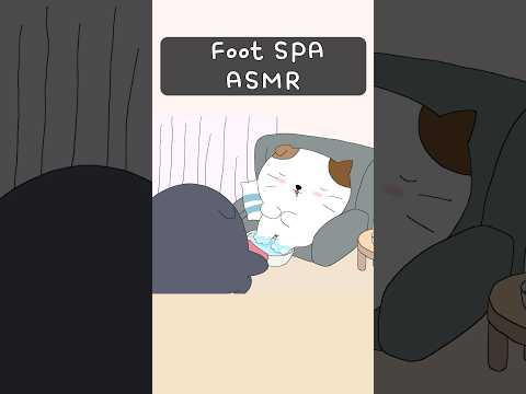 ASMR Foot Massage | SPA #asmr #cute #massage #spa #cat