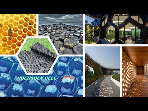 The Power of Hexagons Nature Inspired Design of HOENSOEY Cells | Innovative Geocellular Modules