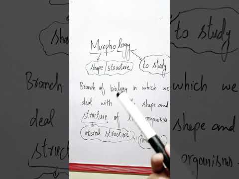 Morphology & Anatomy