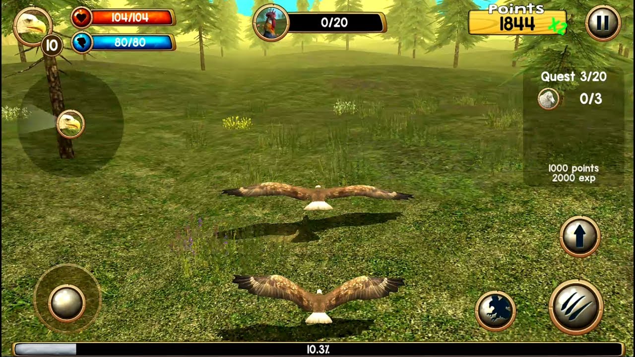 Wild Eagle Sim 3D Android Gameplay HD #2