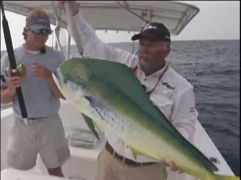 Gulfstream run for Georgia Mahi Mahi with Capt. Mark Noble