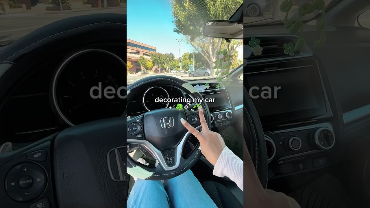 let’s decorate my car 🍀🌱 #cardecoration #caraccessories #pinterestaesthetic