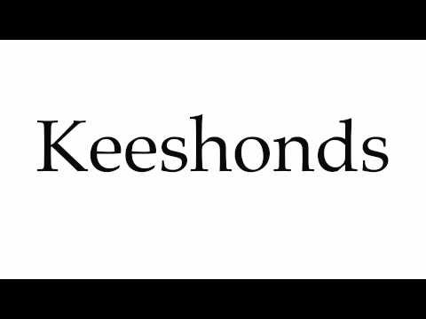 How to Pronounce Keeshonds