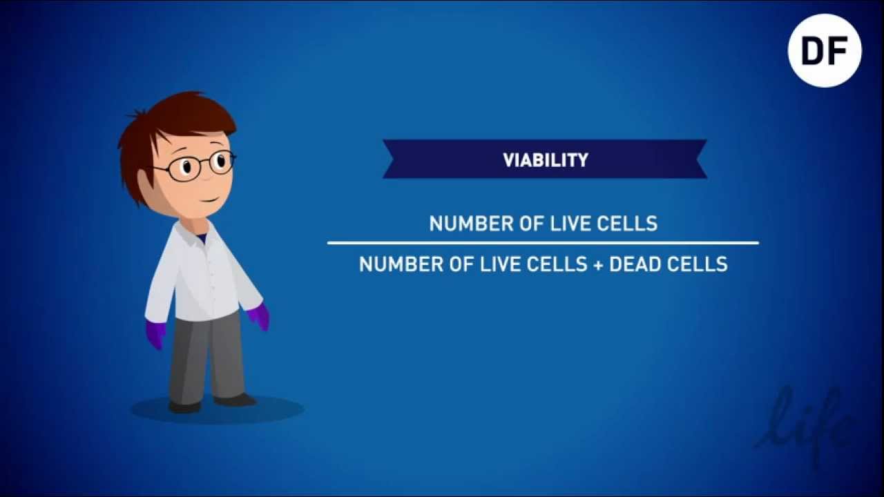 Using a Hemocytometer