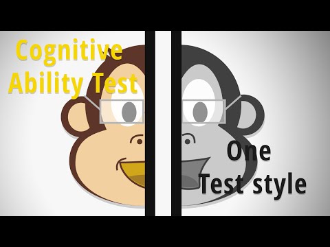 OneTest Style Cognitive Ability Test - Introductory tutorial
