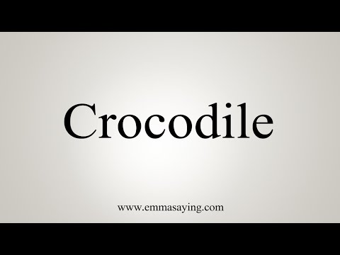 How To Say Crocodile