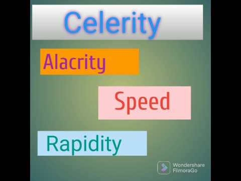 Synonym