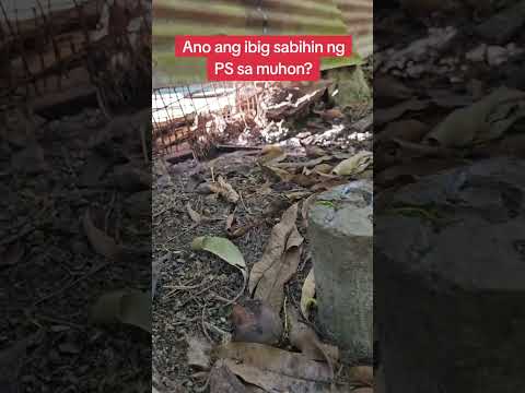 Ano ang Ibig sabihin ng PS sa muhon? Please write your comment below. #shorts #shortsvideo