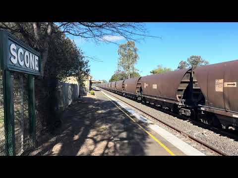Scone: Pacific National locos 9323, 9210, & 9305 head north through Scone Station 23/6/25 @10.40am.