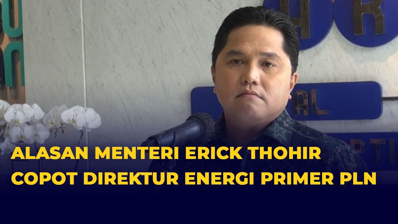 Ini Alasan Menteri BUMN Erick Thohir Copot Direktur Energi Primer PLN