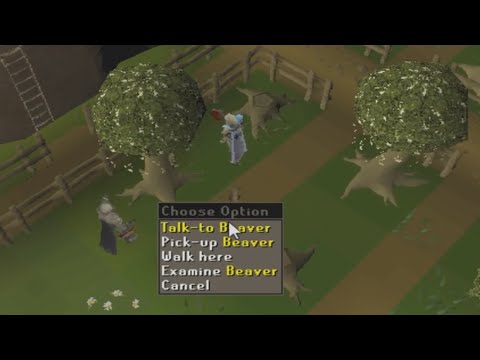 DID THIS JUST HAPPEN?!?!!! OSRS Beaver PET