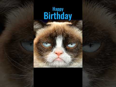 Grumpy Cat Happy Birthday Song (Too Funny) #shorts