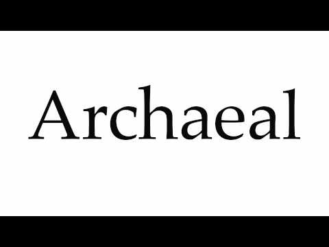 How to Pronounce Archaeal
