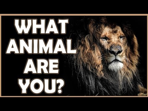 What wild animal are you? (personality test)