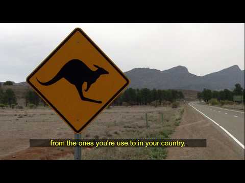 Transport: Joel’s tips