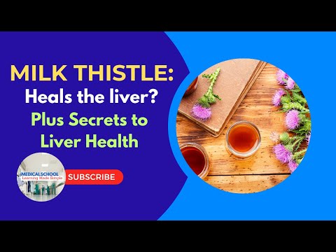 Milk Thistle: Does it Heal the Liver? Secrets to Liver Health