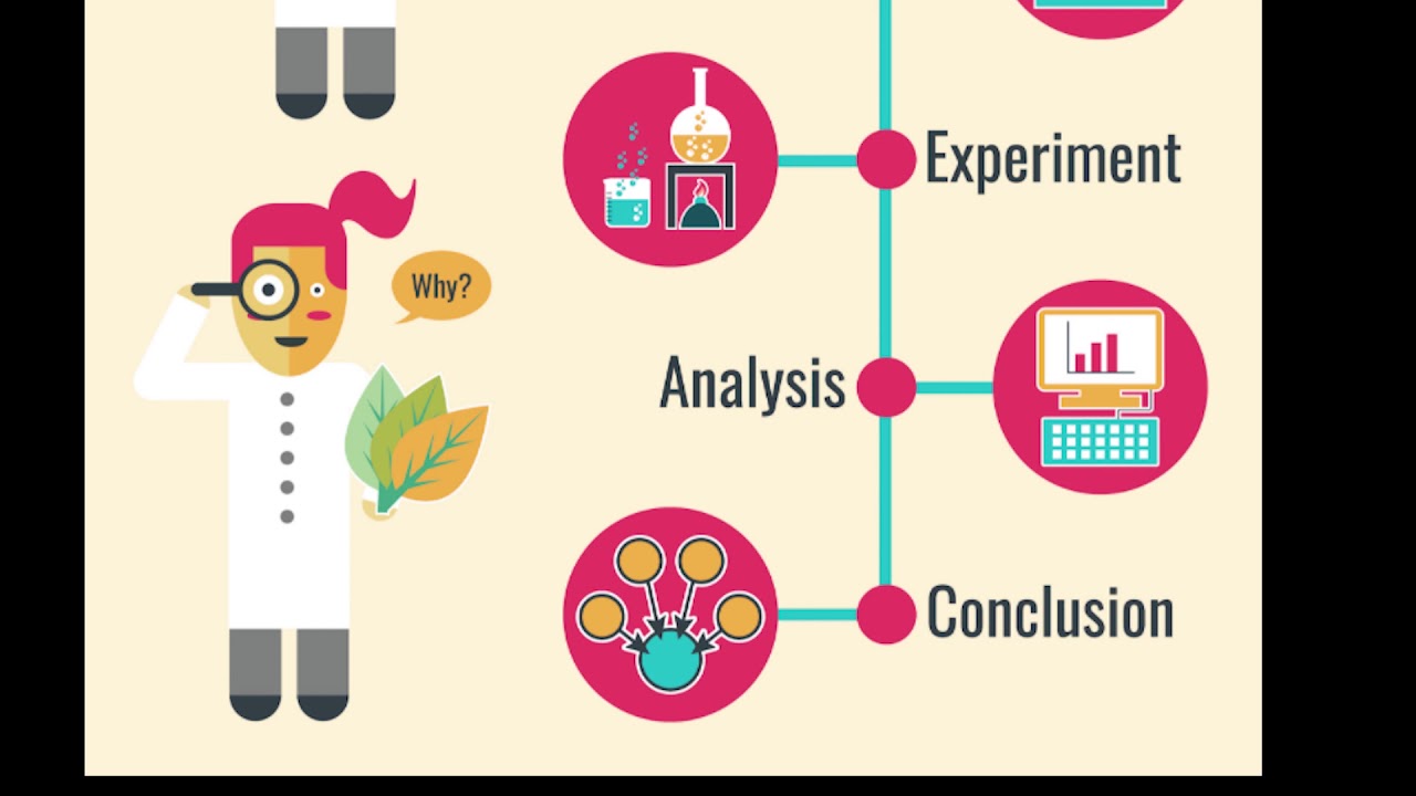 Draw Conclusions Based on Data