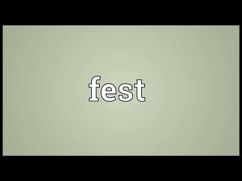 Fest Meaning