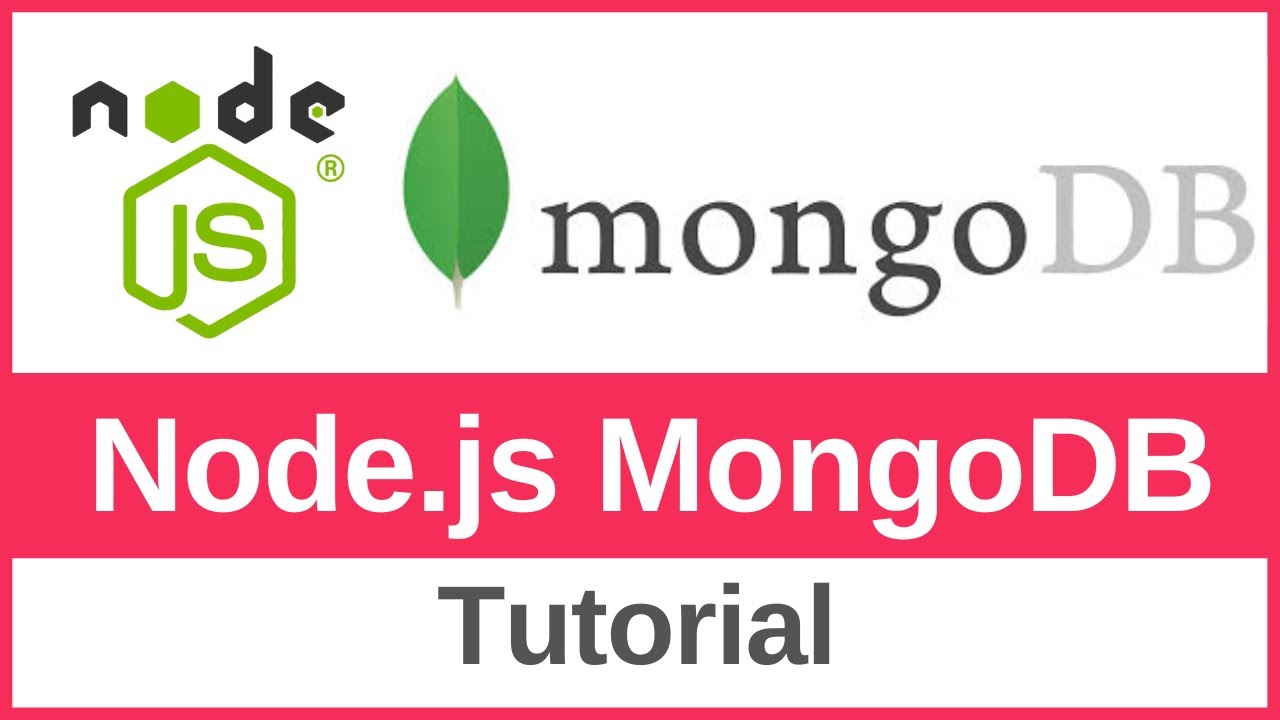 MongoDB with Node.js Tutorial for Beginners