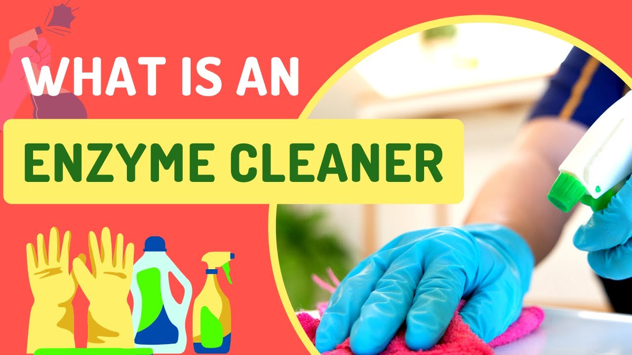what is an enzyme cleaner (a magical product)