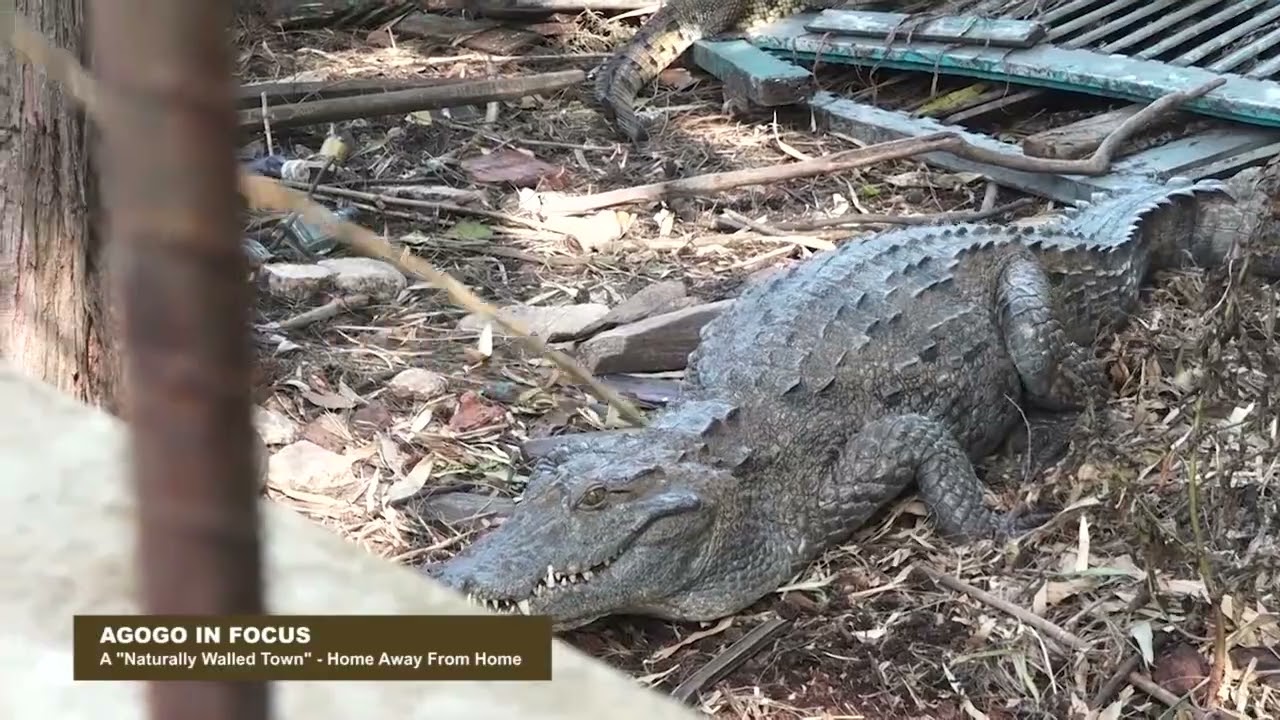 AGOGO IN FOCUS - HOW THE TOWN AGOGO CAME BY ITS NAME