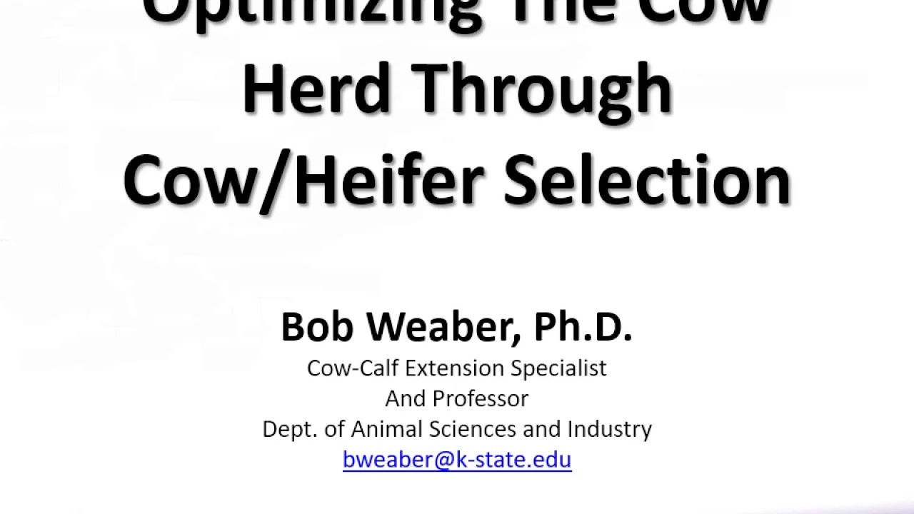 Bob Weaber, 2018 K-State Winter Ranch Management